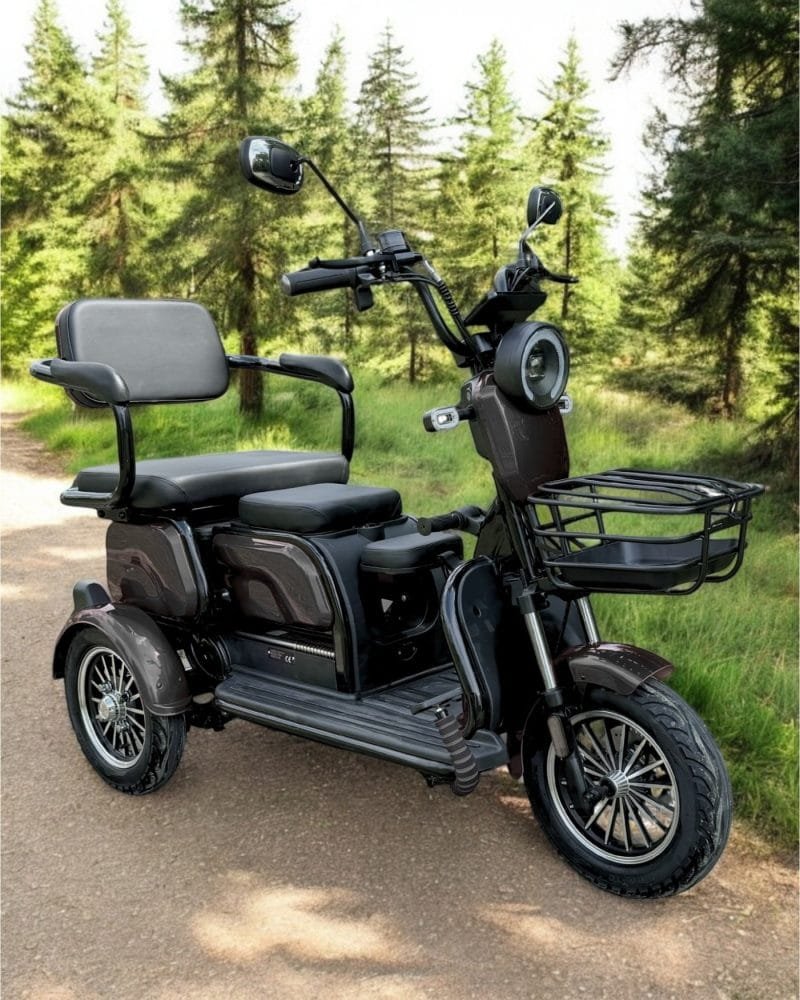 Elektrinis Triratis Motoroleris SL-04 | MEDIPLIUS.LT